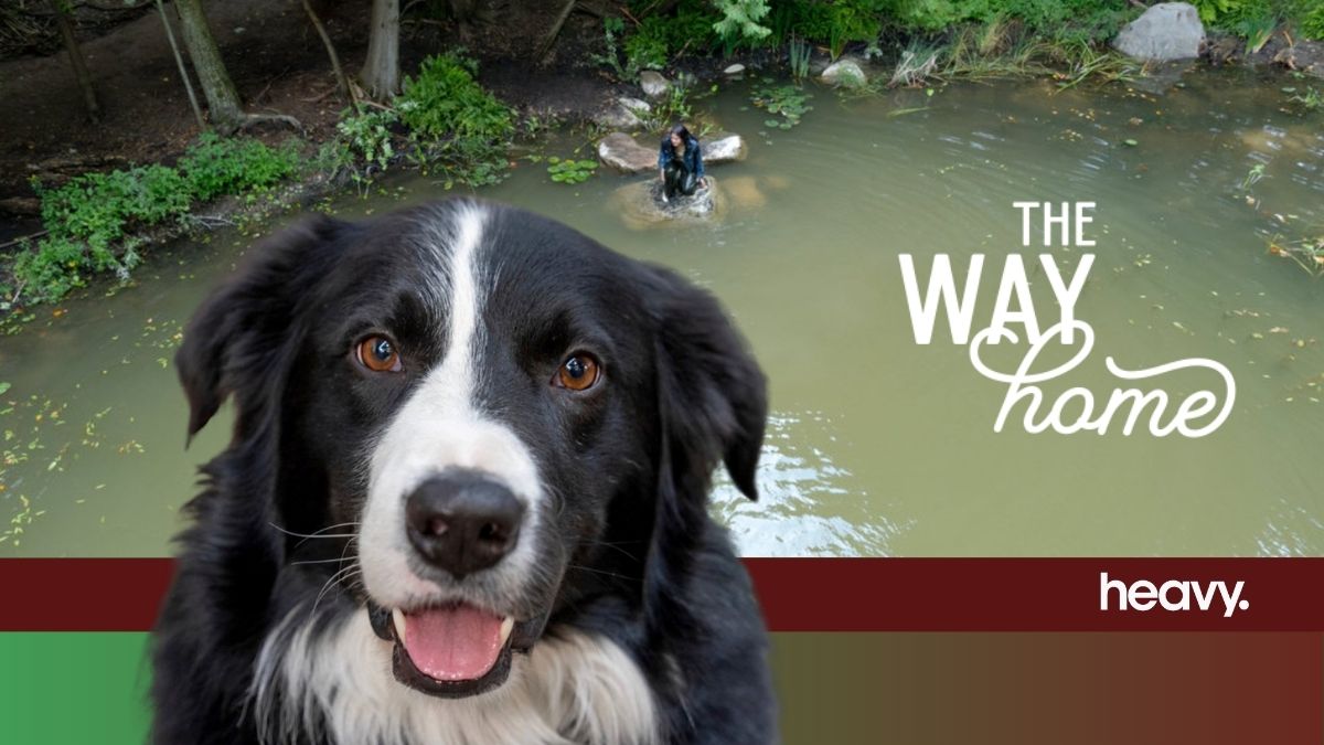 'The Way Home' Cast Reveals Finn the Dog's Tragic Past