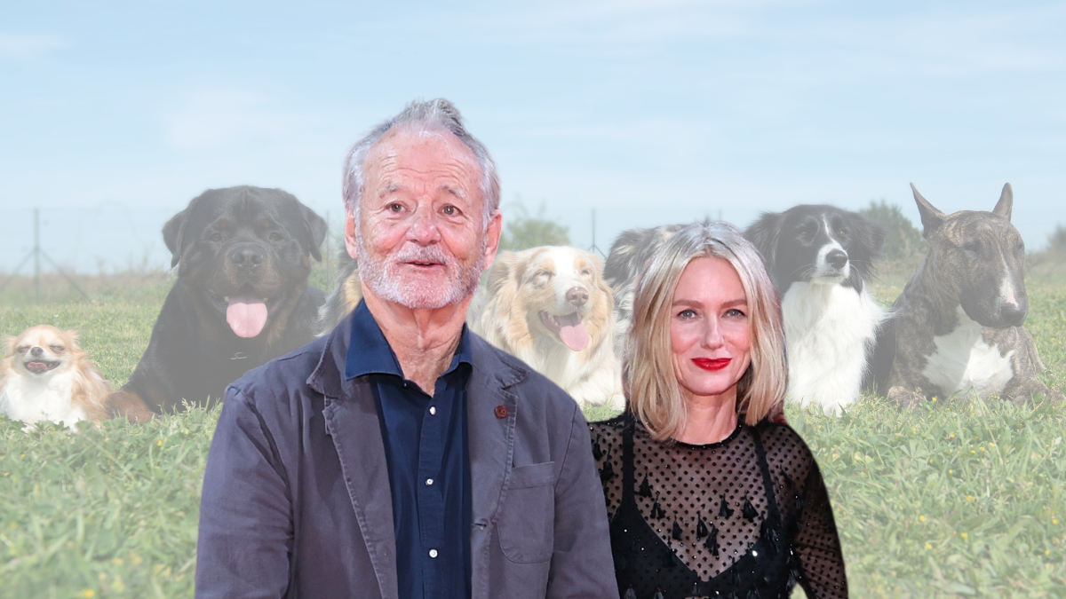 Bill Murray and Naomi Watts Bond Over Dogs