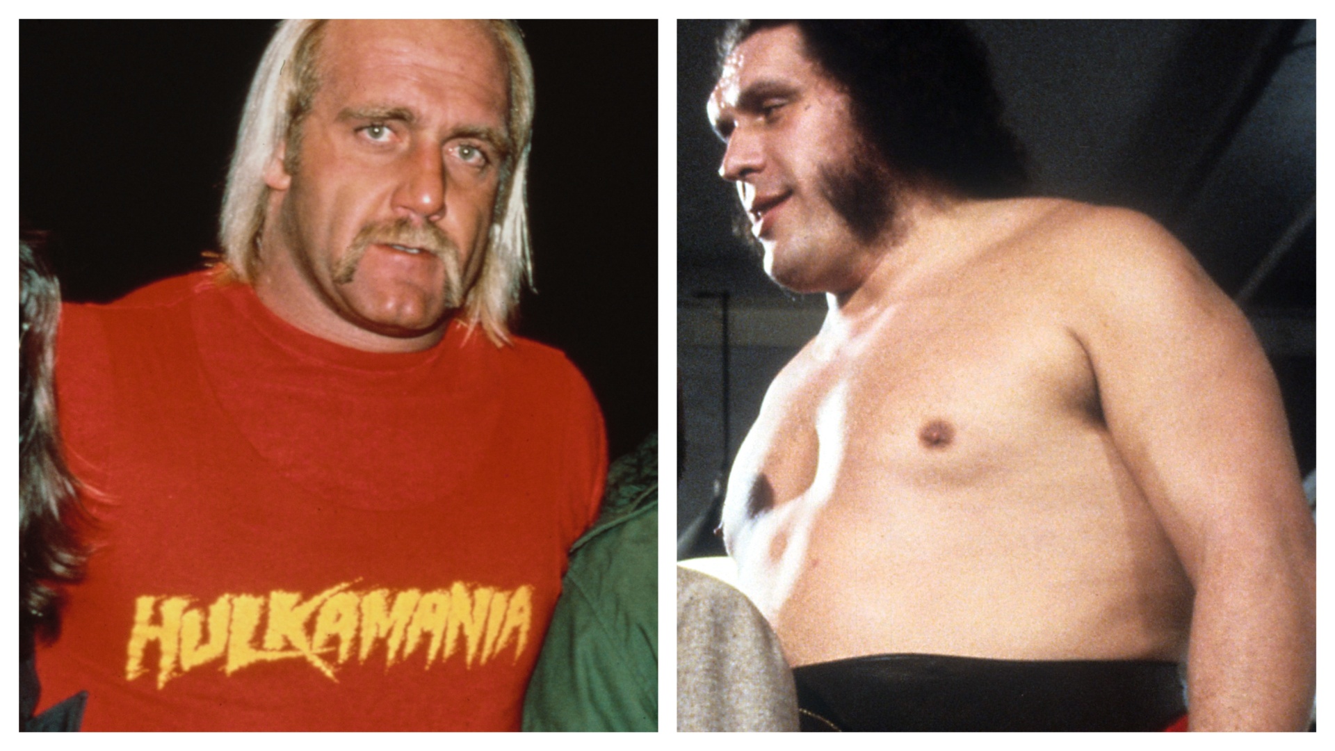 Hulk Hogan and André the Giant: A Historic Rivalry