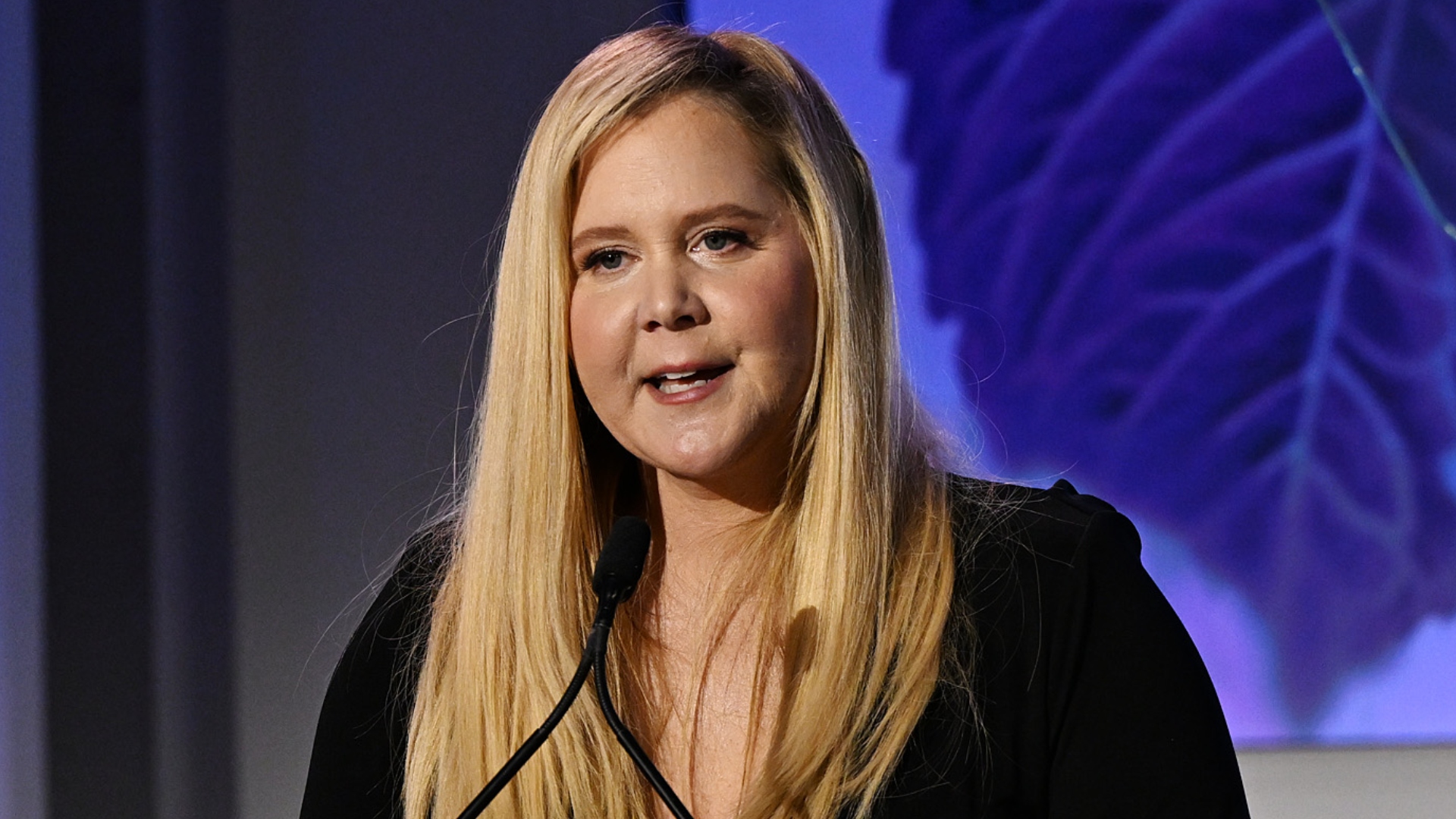 Amy Schumer Shares Important Update on Her Health & Mobility