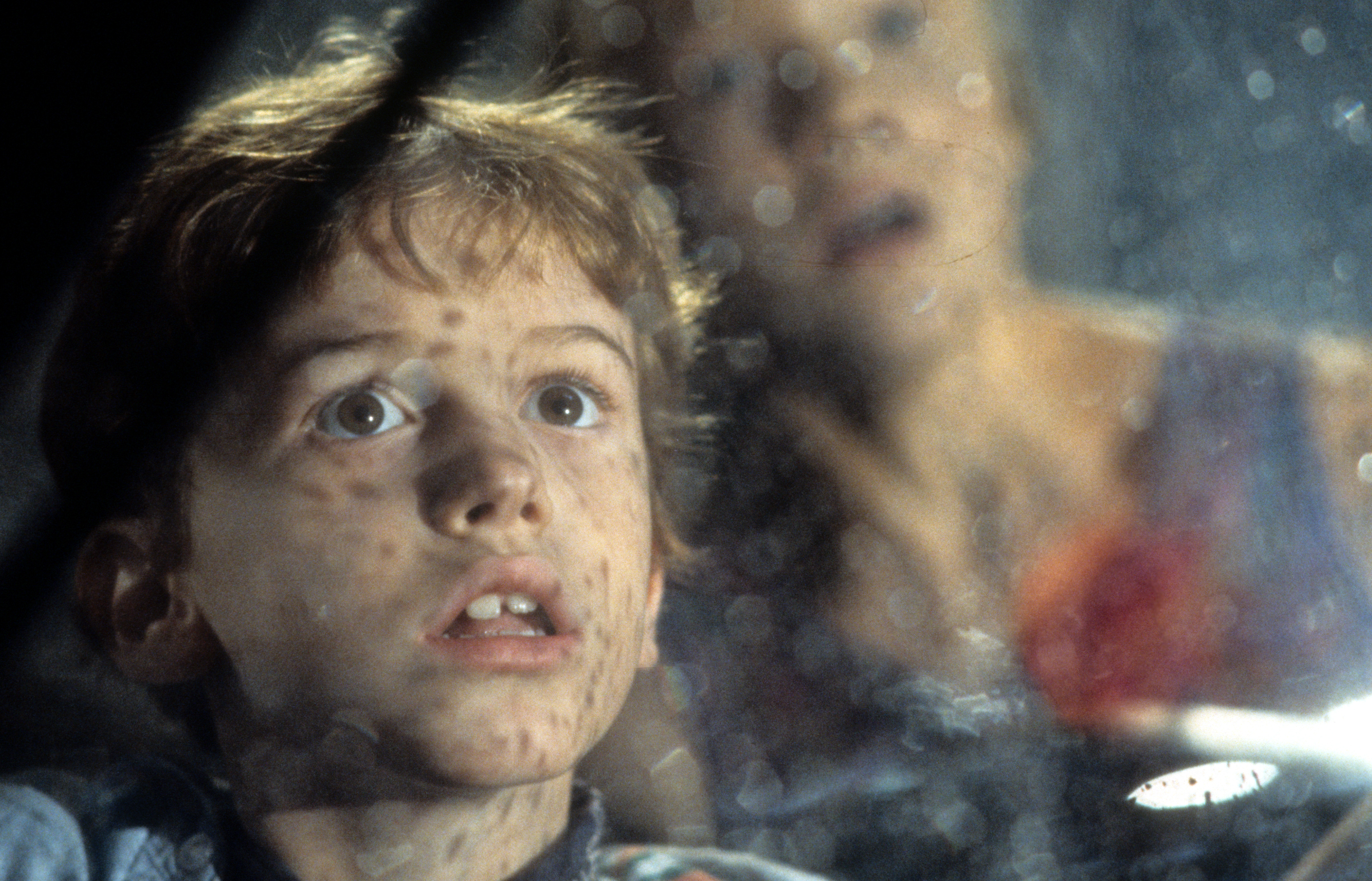 The Cast of 'Jurassic Park' Then & Now: PHOTOS