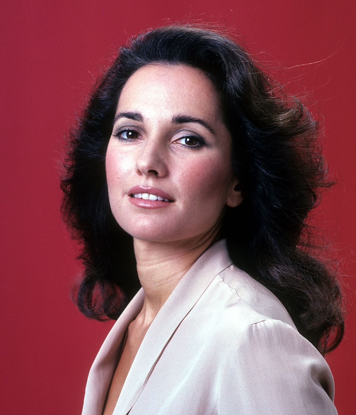 Susan Lucci Hints ‘All My Children’ Reboot is Still in the Works