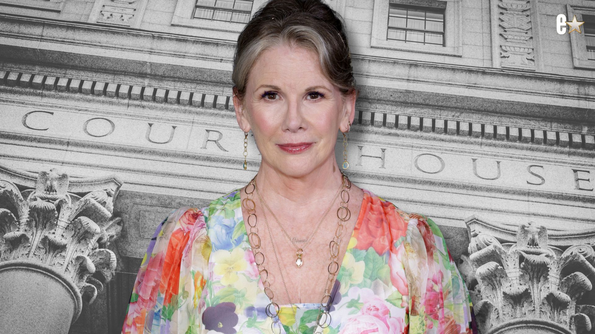 PHOTOS: Melissa Gilbert Smiles in Court as New Details Emerge in ...