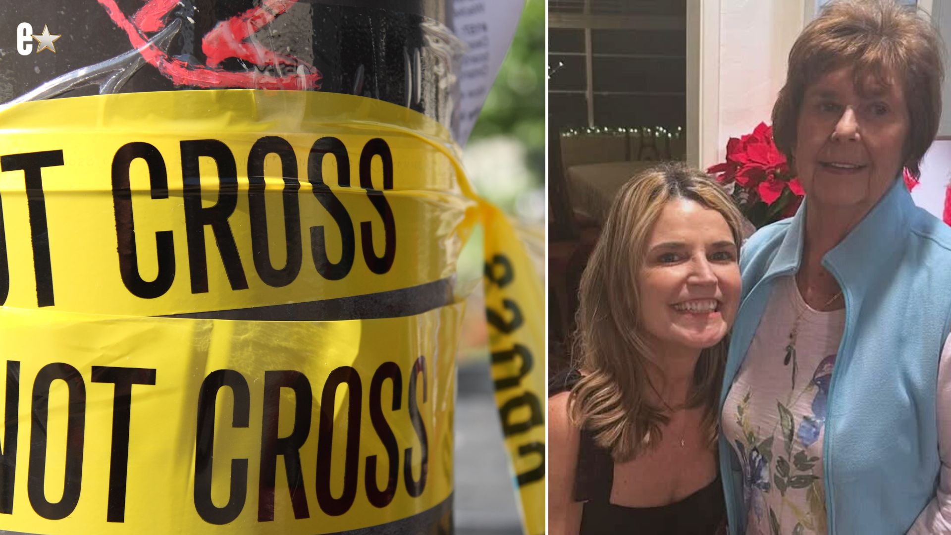 FBI Experts Outline Details Revealed in Savannah Guthrie's Video ...