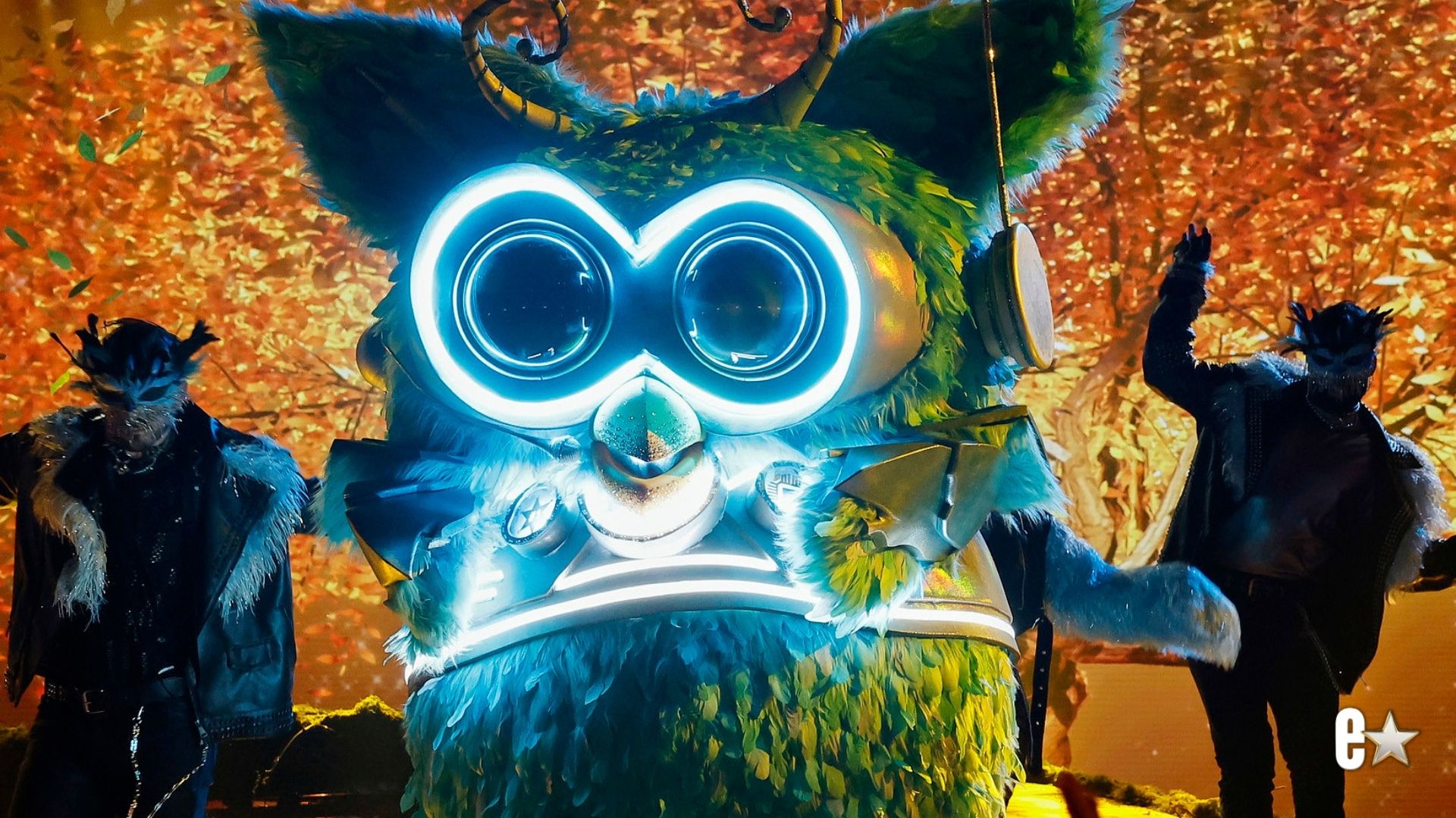 The Masked Singer Spoilers: Owl Clues & Guesses Week 5