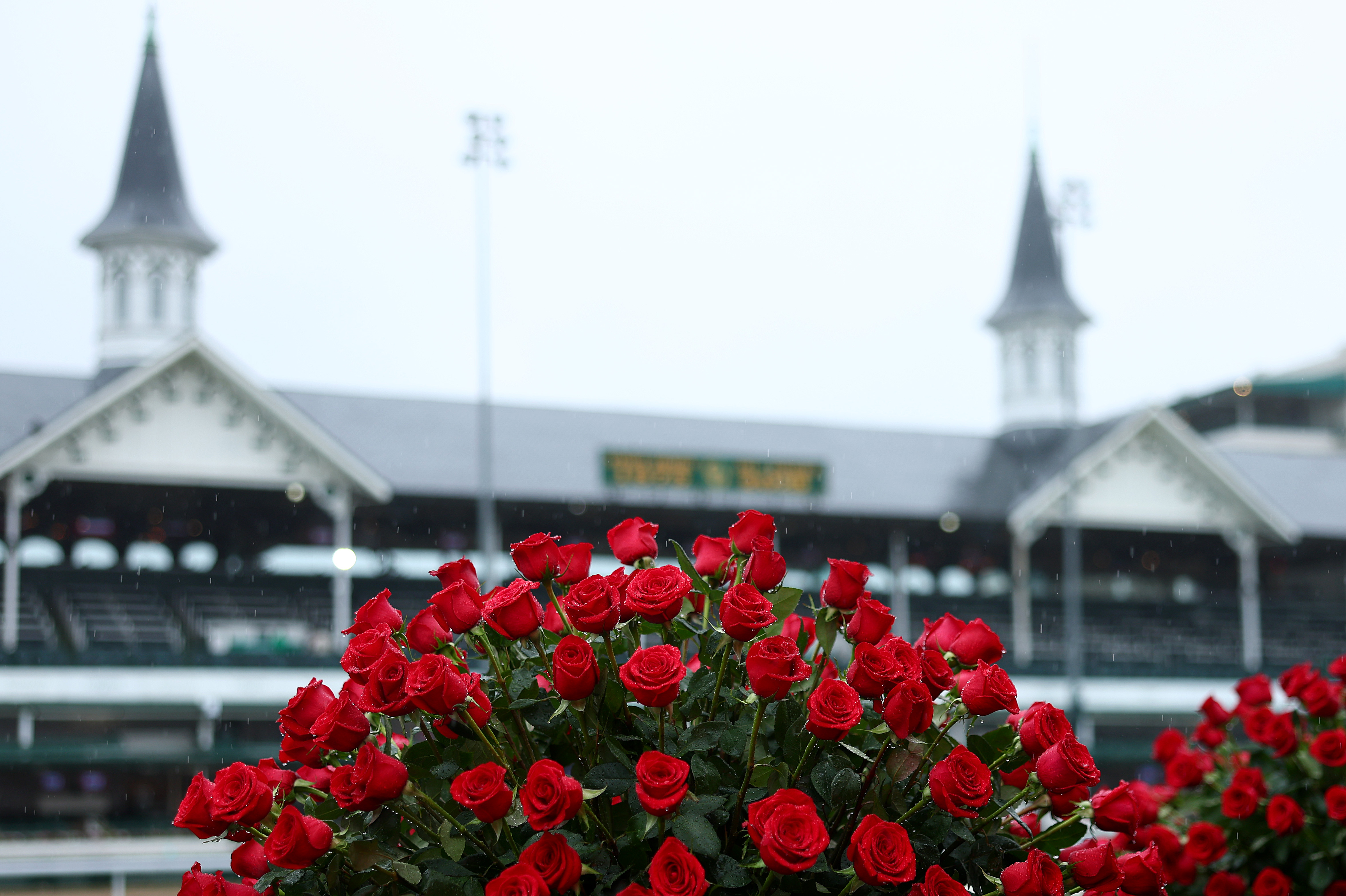 Hallmark’s ‘Kentucky Roses’ Signals a Big Shift for the Network