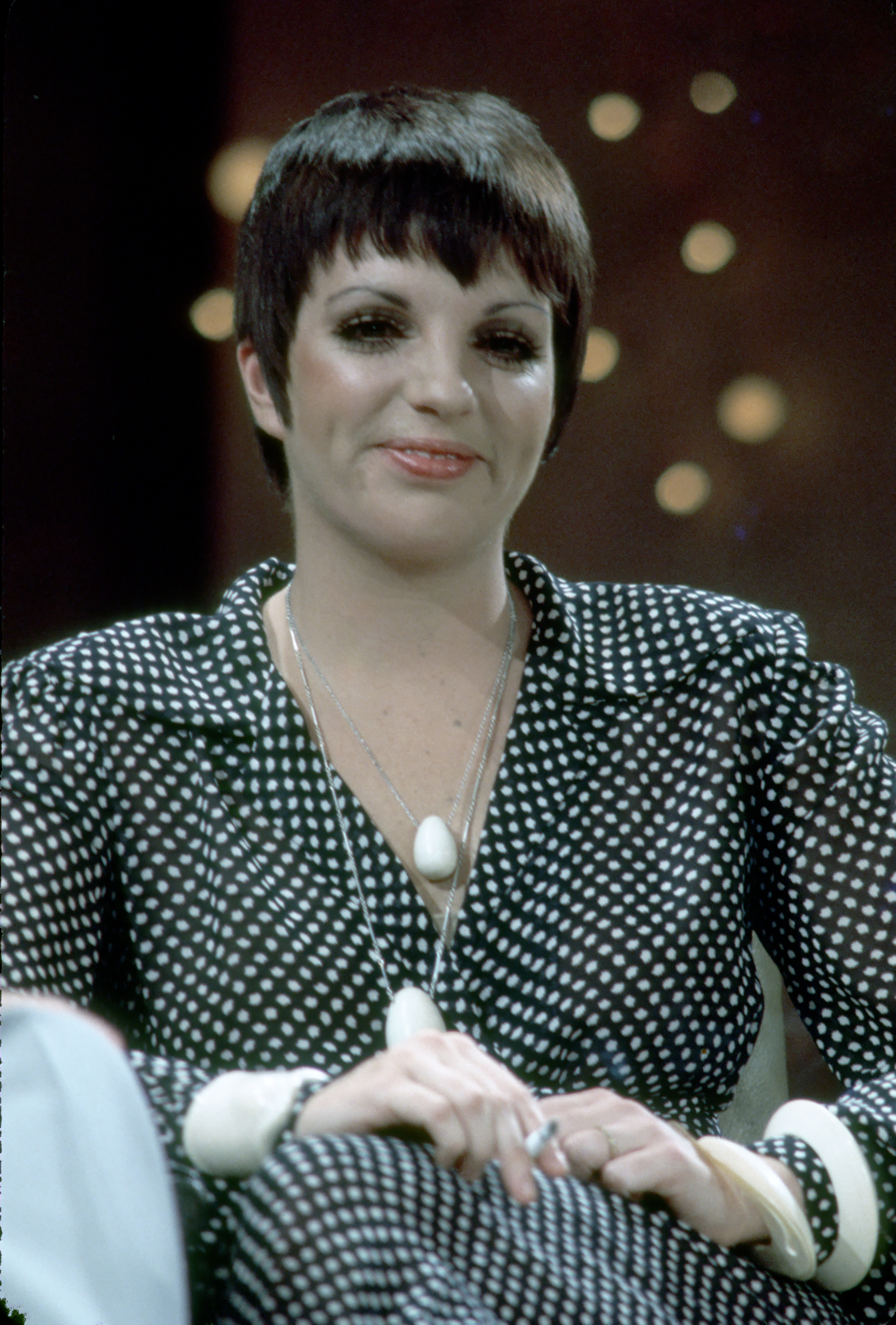 Liza Minnelli Turns 80: Then & Now Photos of the Broadway Icon