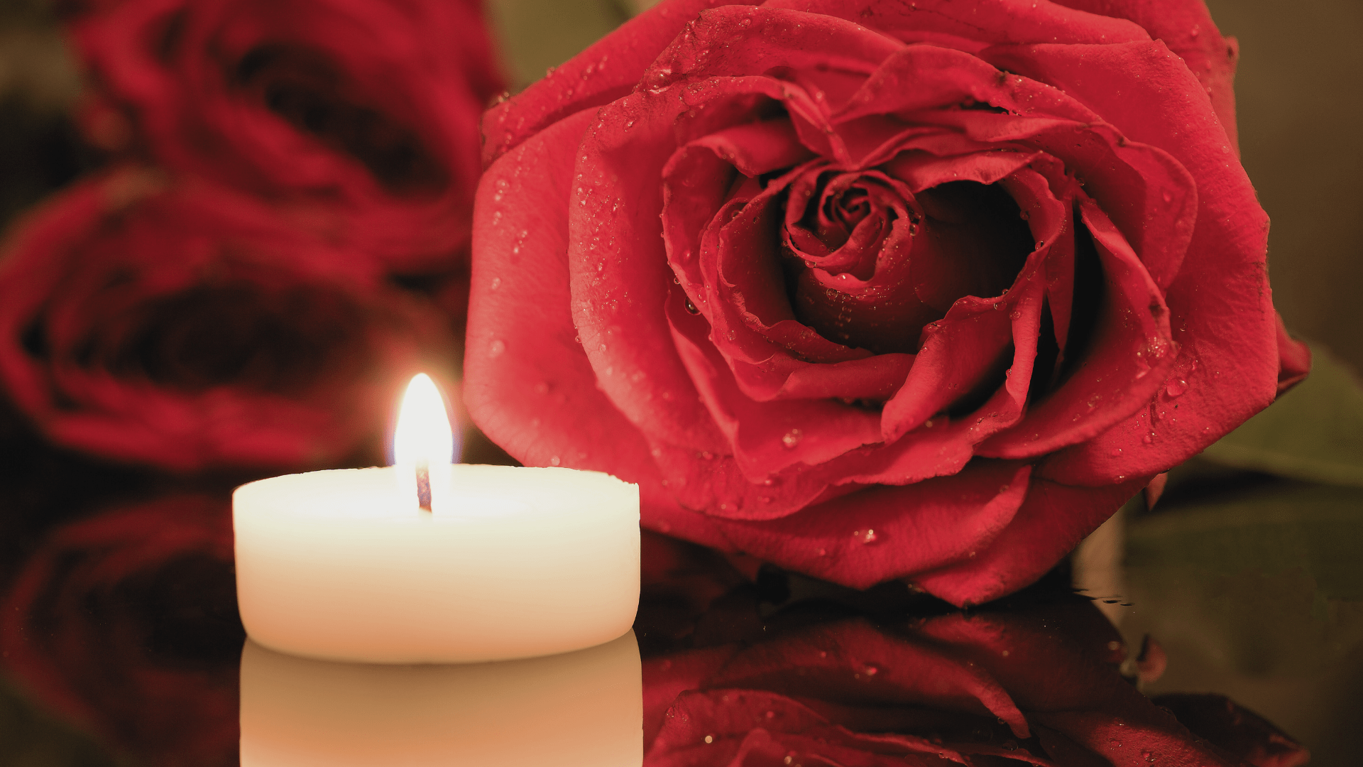David Brigati Death: Starliters & Rascals Singer Passes Away at 85