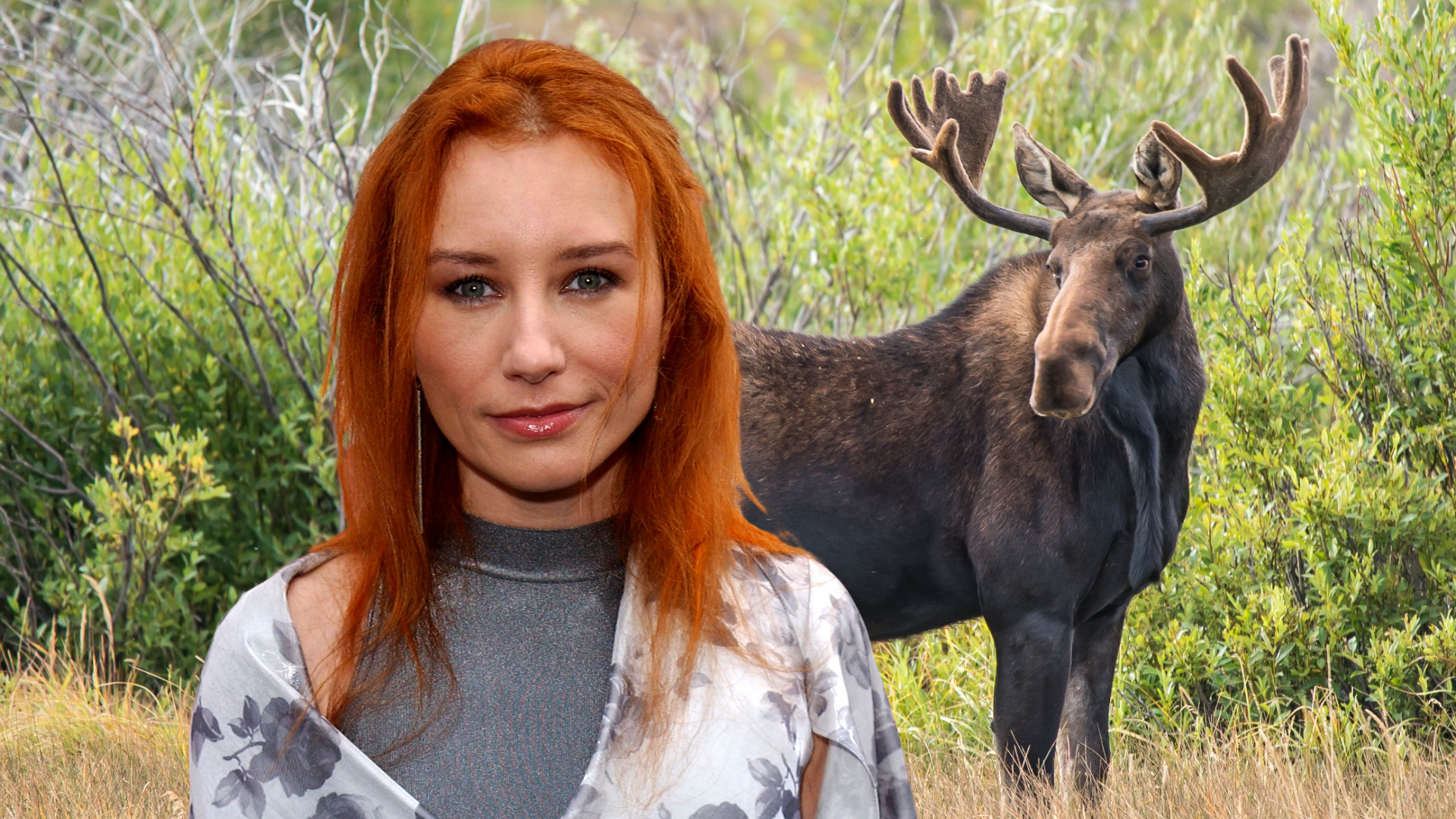 Tori Amos Reveals Face Injury Caused by Her Tour Bus Almost Hitting a Moose